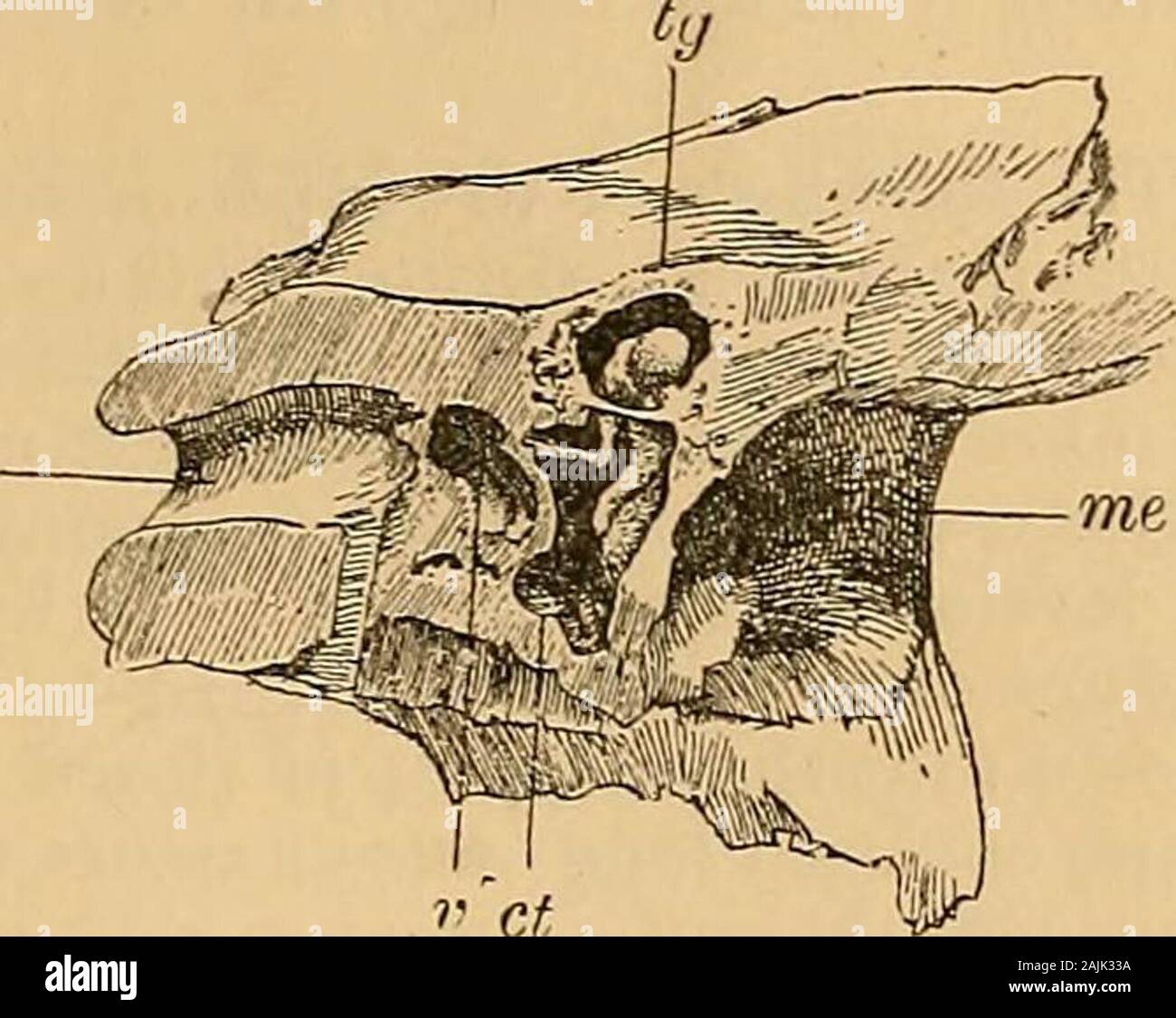 A text-book of the diseases of the ear for students and practitioners ...
