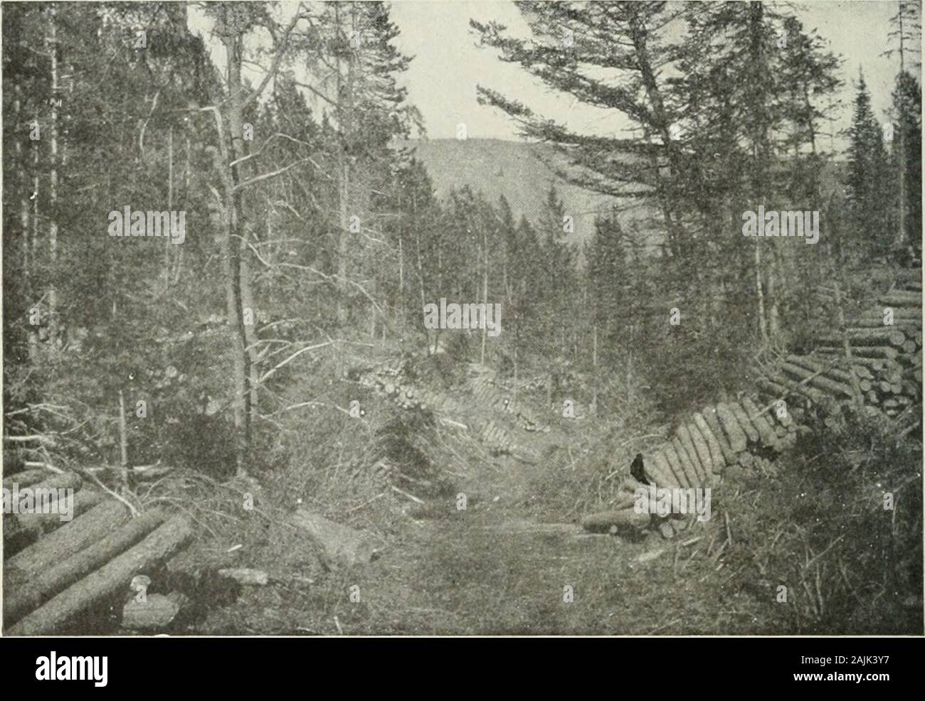 Skidway hi-res stock photography and images - Alamy