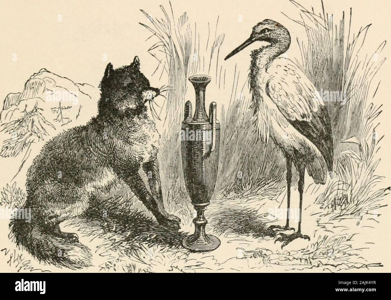 Aesop fables fox stork hi-res stock photography and images - Alamy