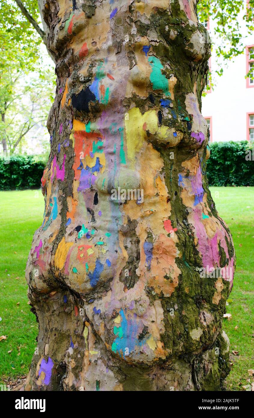 Amazing multi-colored tree trunk Stock Photo - Alamy
