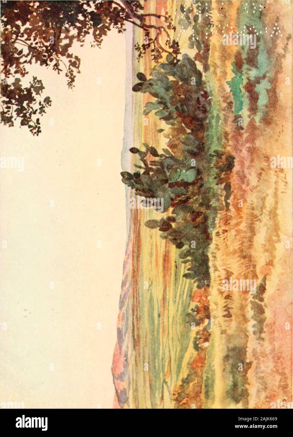 Letters from the Holy land . e land. We had a glorious ride through ...