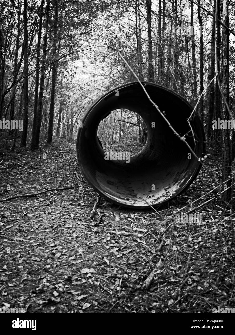 Spring TX USA - 10/10/2019 - Pipe on a Trail in the Woods in B&W Stock ...
