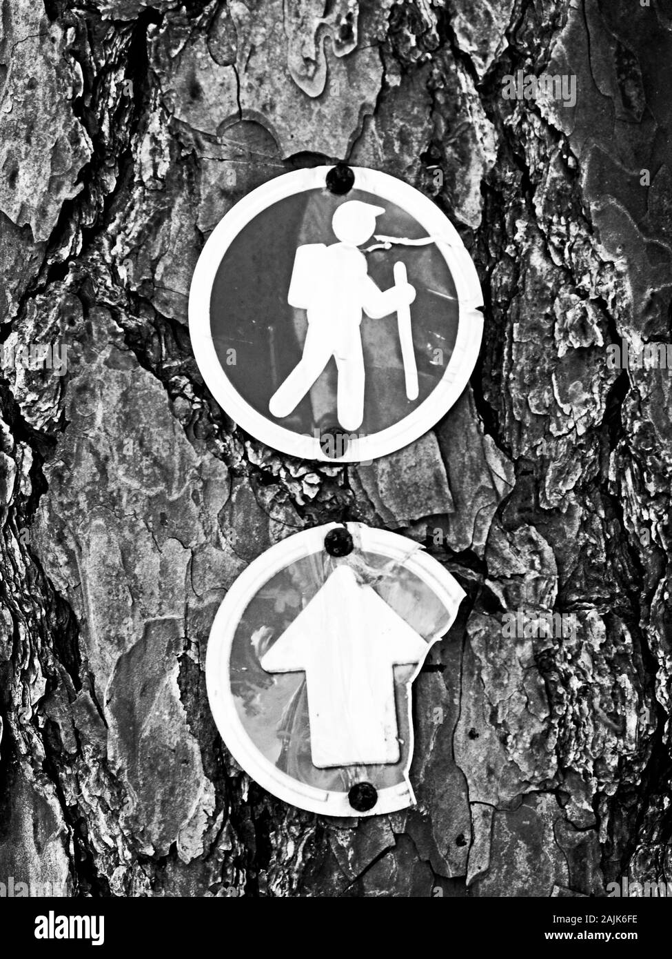 Walking guide tourism Black and White Stock Photos & Images - Alamy