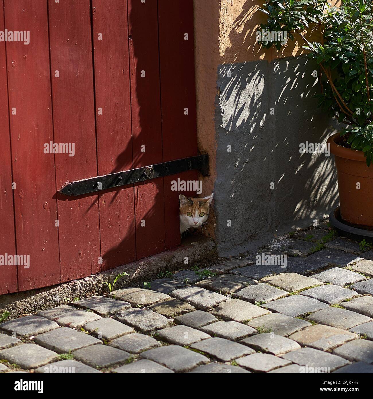 Big gate hi-res stock photography and images - Alamy