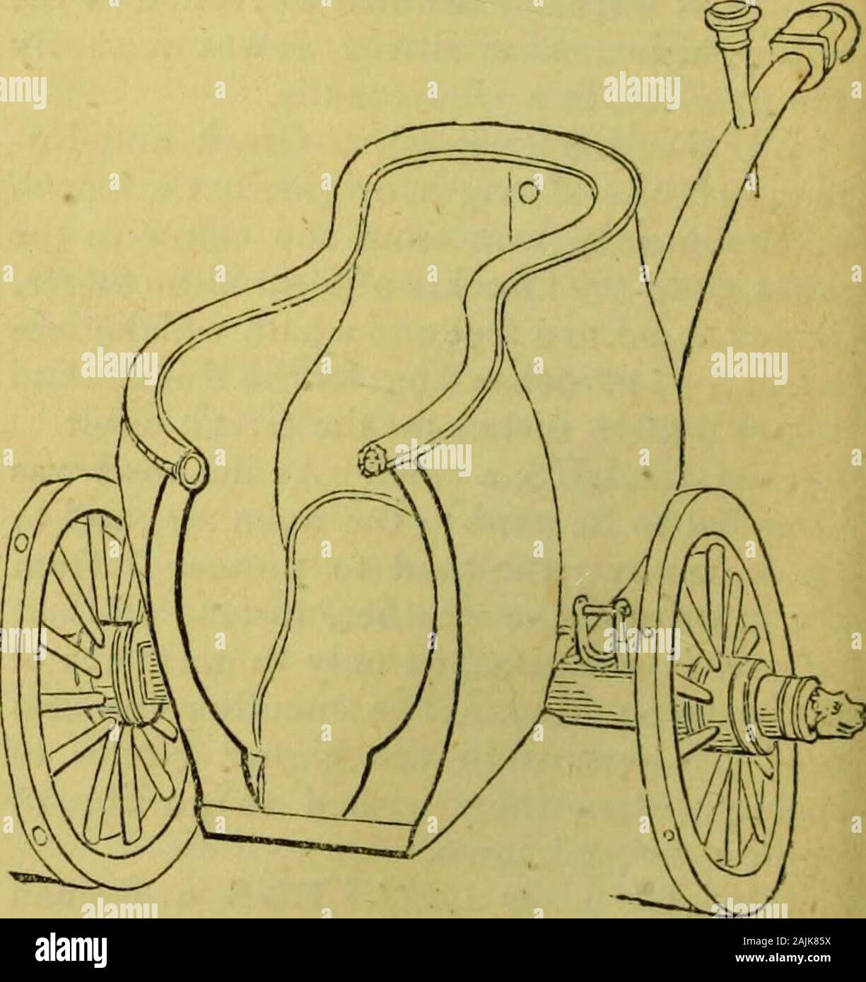 Sella curulis hi-res stock photography and images - Alamy