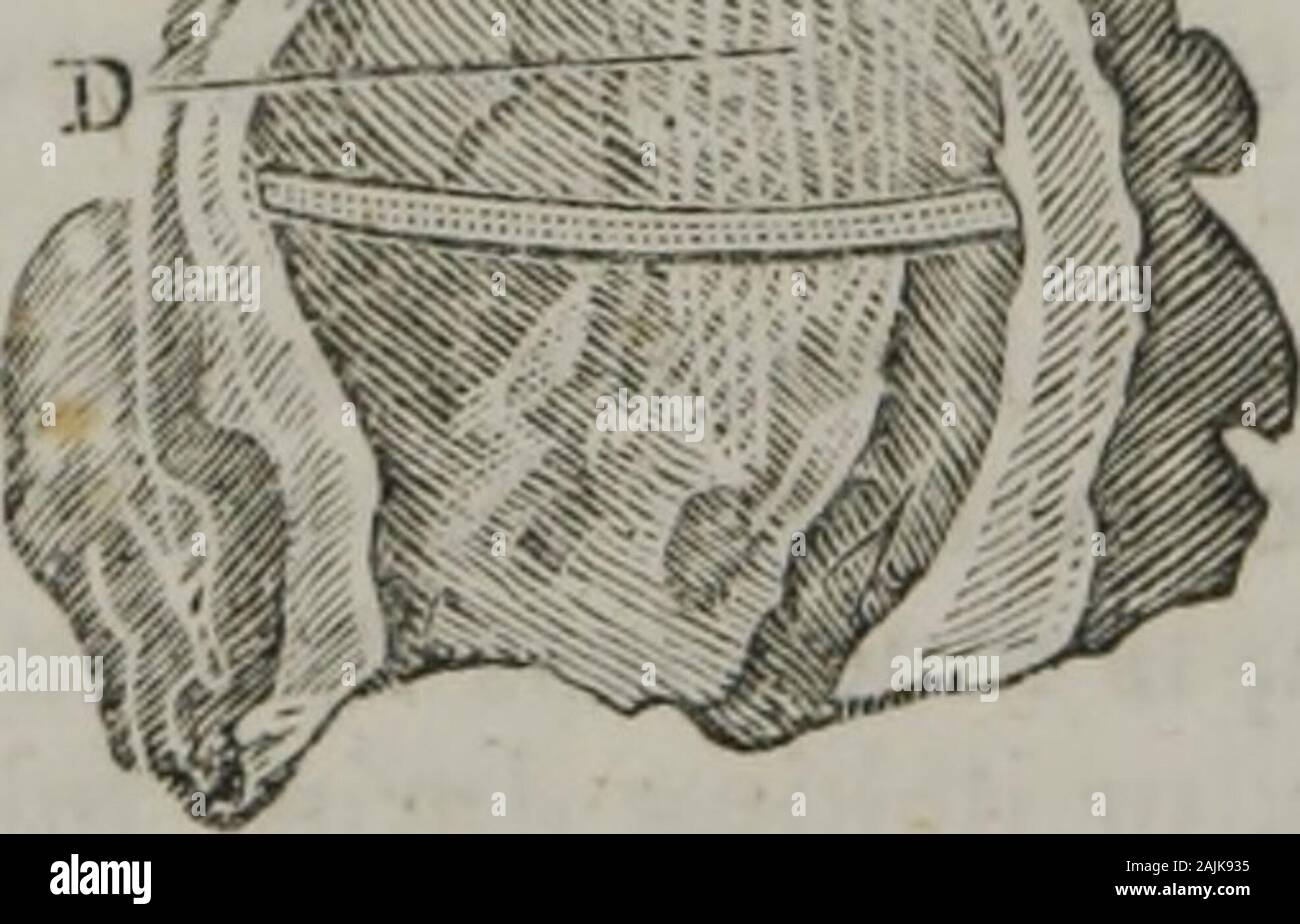 Elements of pathological anatomy . o a, corpus spongiosum ;b e, urethra ...