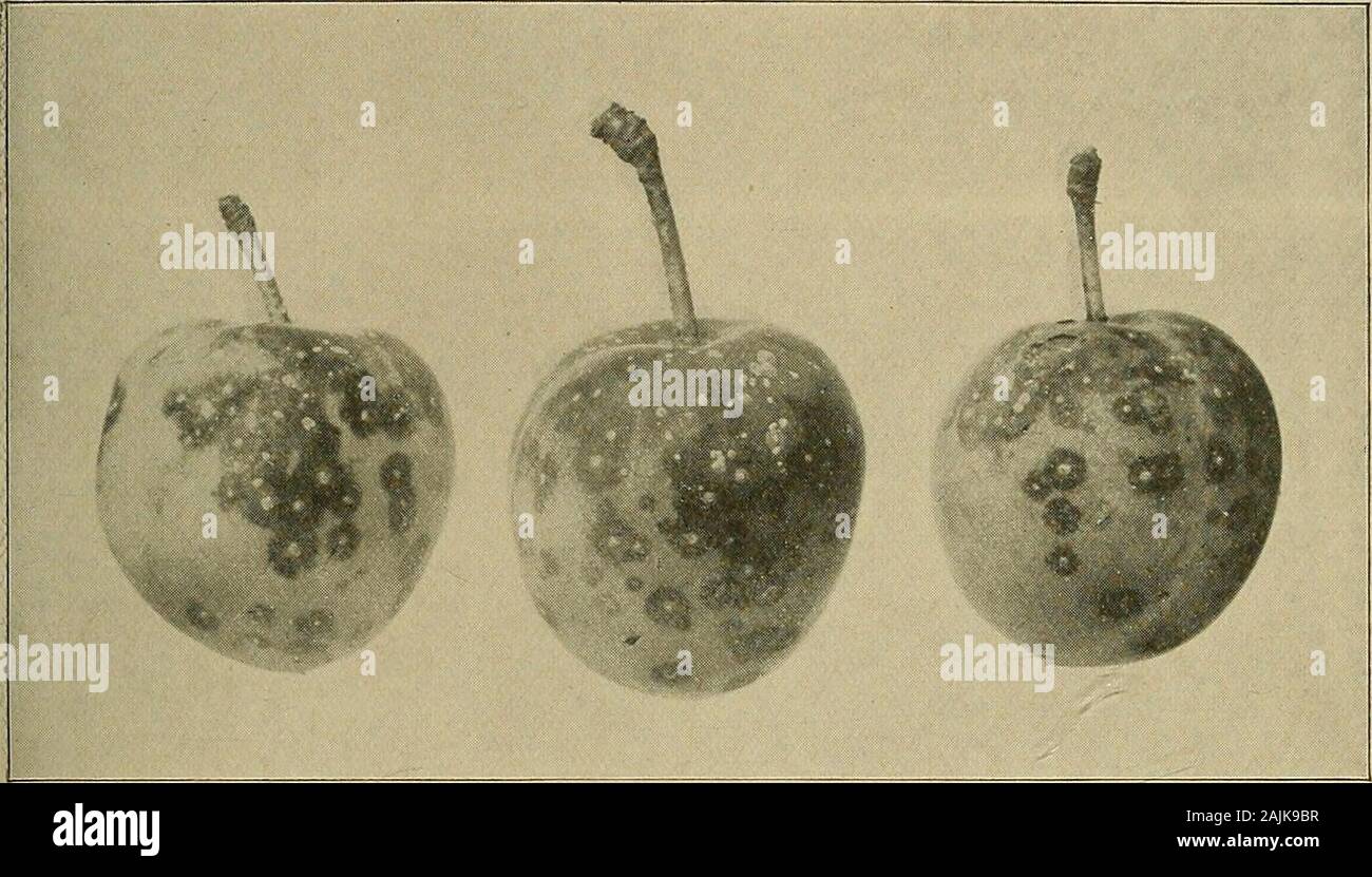 Bookpublishernewha hi-res stock photography and images - Alamy