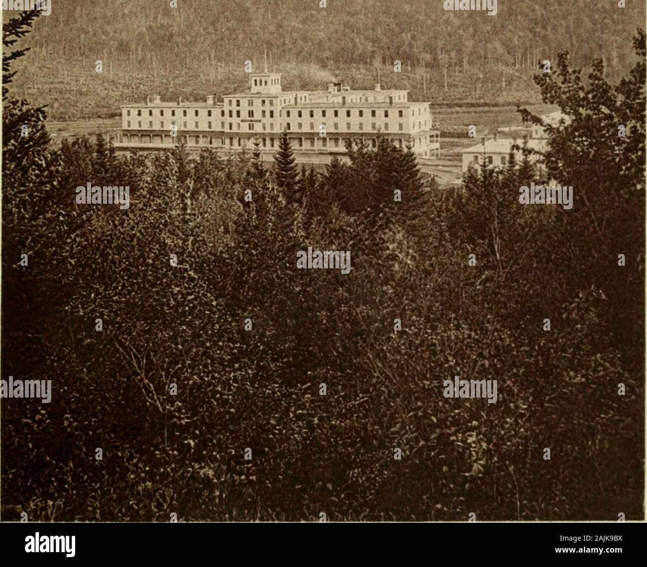 Views in the White Mountains . Mt. Willard.OLD WILLEY HOUSE.. Hlack Mt ...
