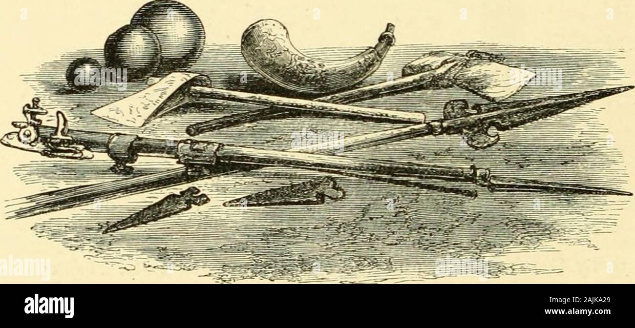 The Hudson, from the wilderness to the sea . her hand as a Hag of truce ...