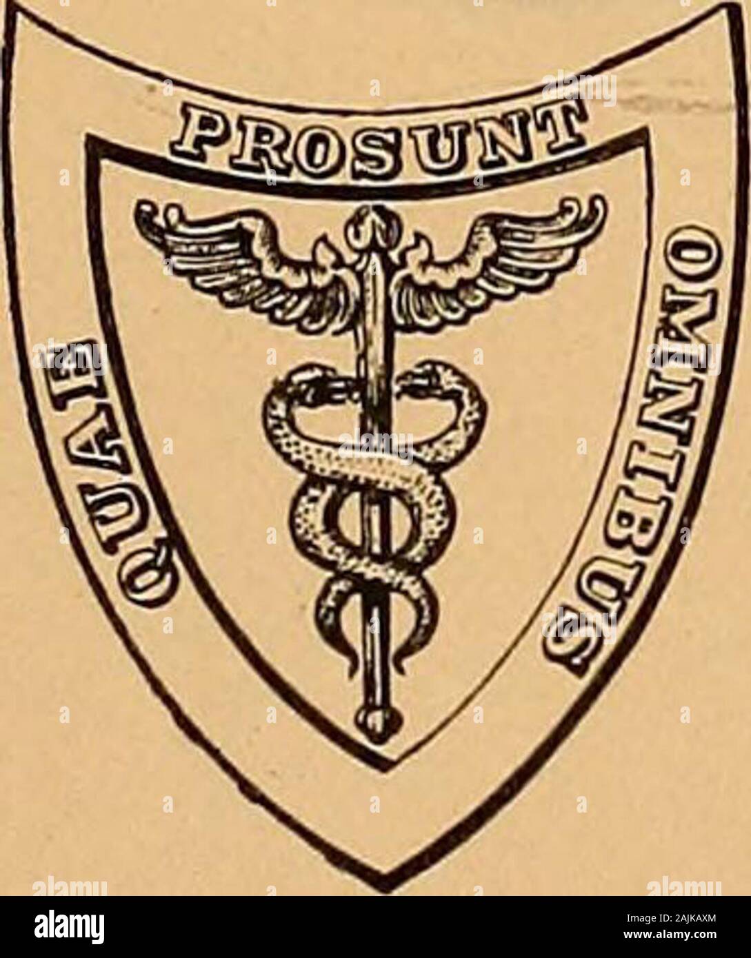 Adam politzer hi-res stock photography and images - Alamy