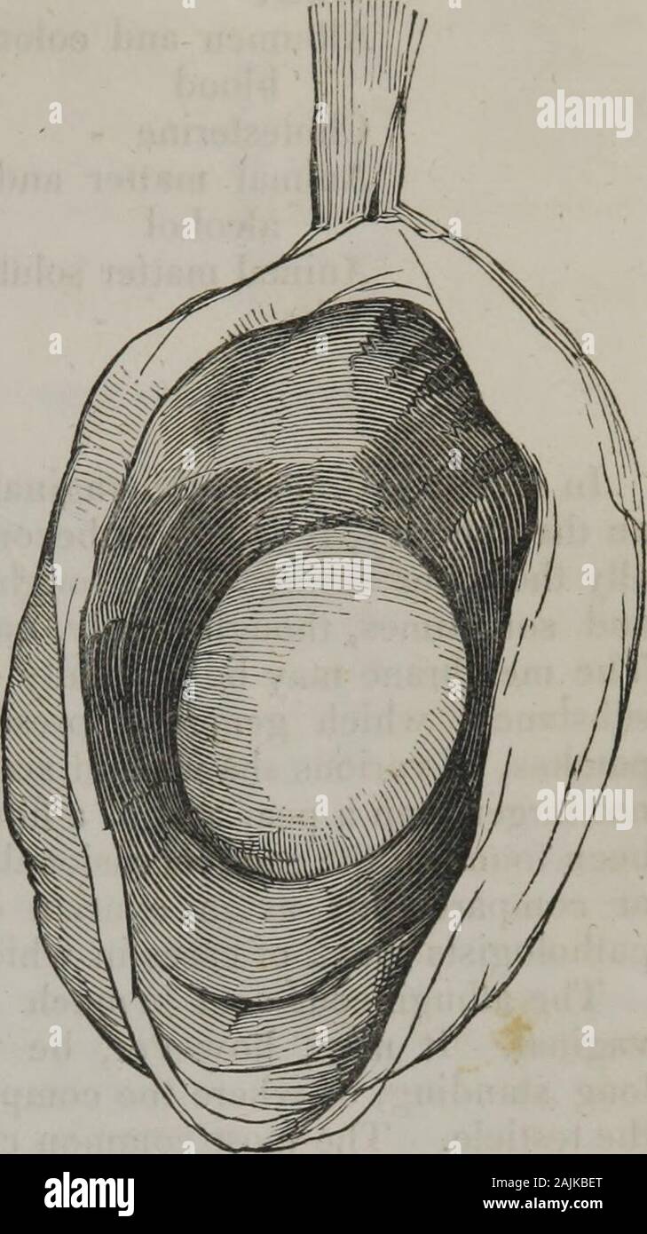 Micaceous hi-res stock photography and images - Alamy