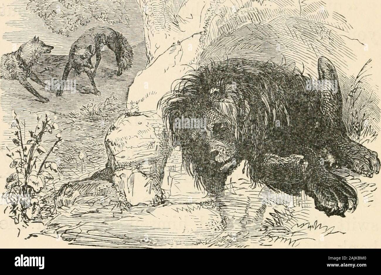 Aesop fables the fox and the crow hi-res stock photography and images ...