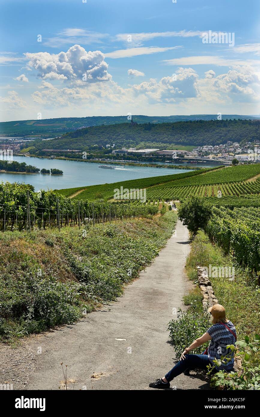 Rhinesteig hi-res stock photography and images - Alamy