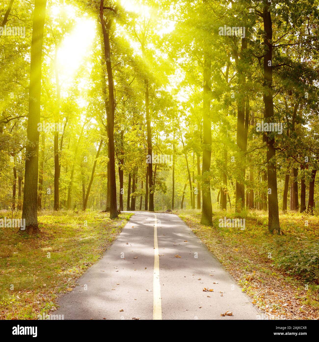 Park sunny hi-res stock photography and images - Alamy