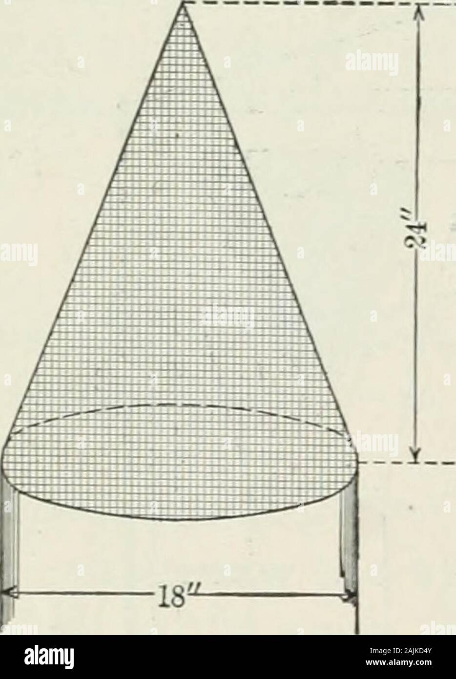 Cone Shaped Shell High Resolution Stock Photography and Images - Alamy