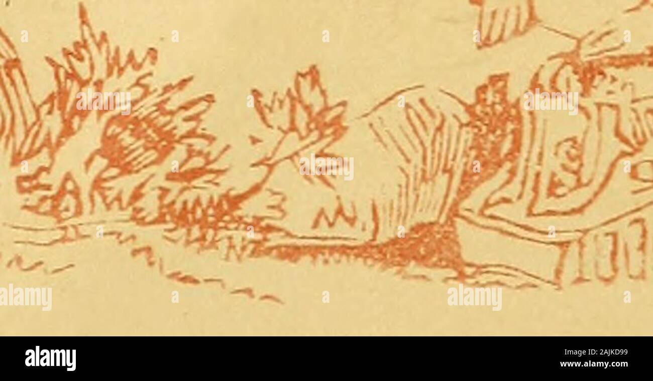 1880 notes hi-res stock photography and images - Alamy