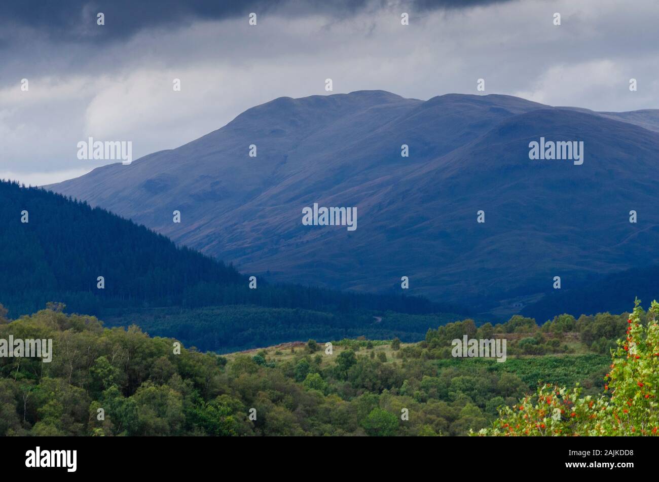 Landscape in the Scottish Lowlands Scotland UK Stock Photo - Alamy