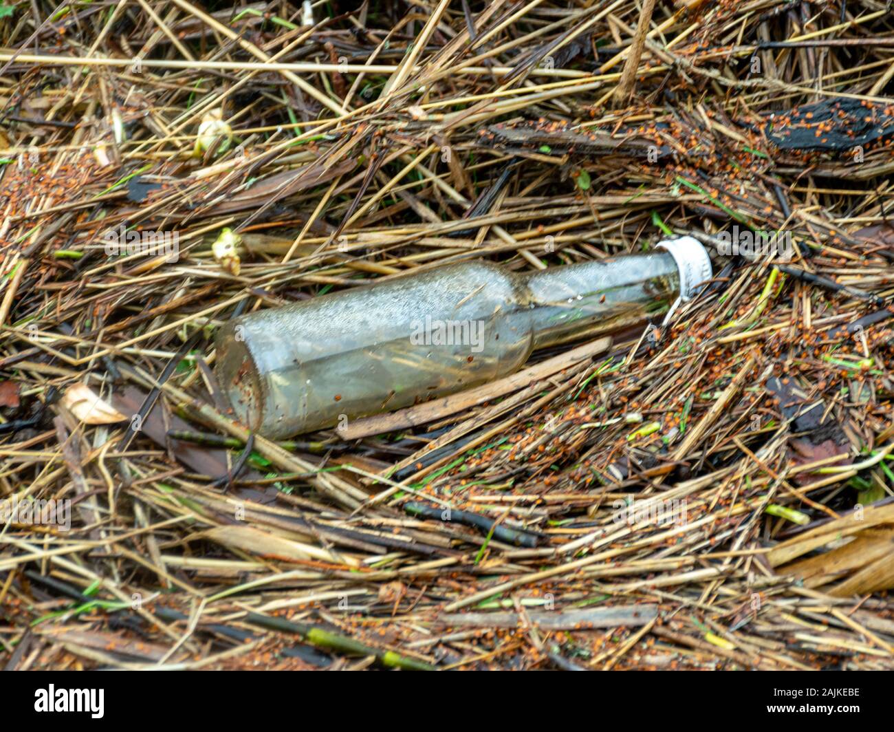 picture of people leaving garbage on the river bank, garbage ingested ...
