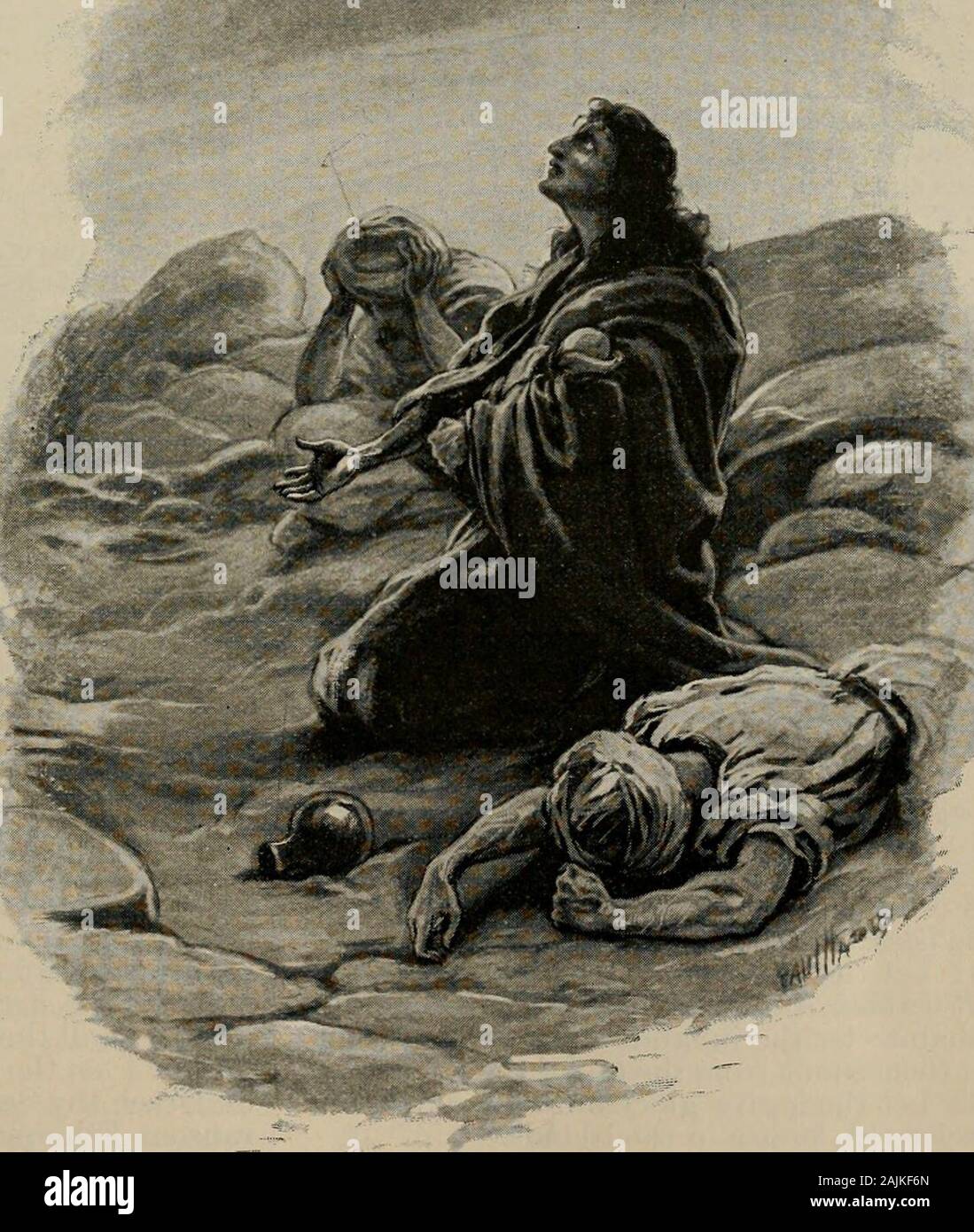 Shittah tree hi-res stock photography and images - Alamy