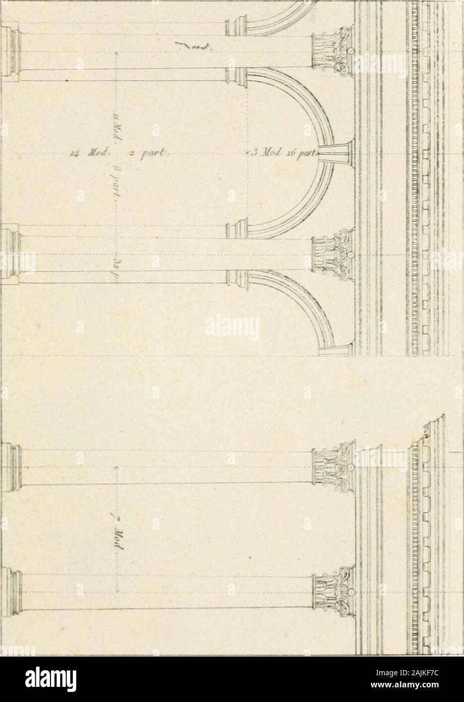 The architectural director : being a guide to builders, draughtsman ...