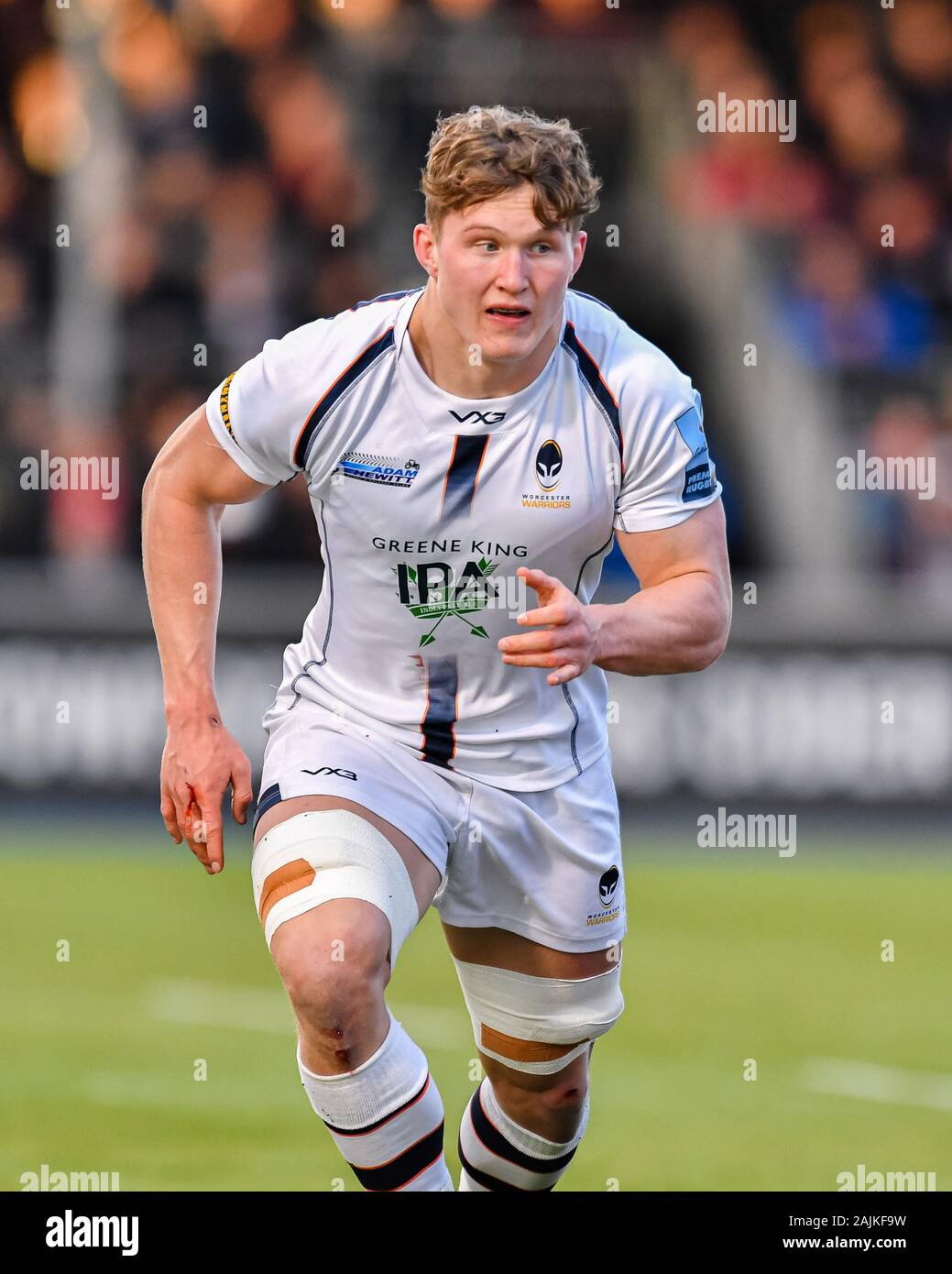 Worcester warriors ted hill hi-res stock photography and images - Alamy