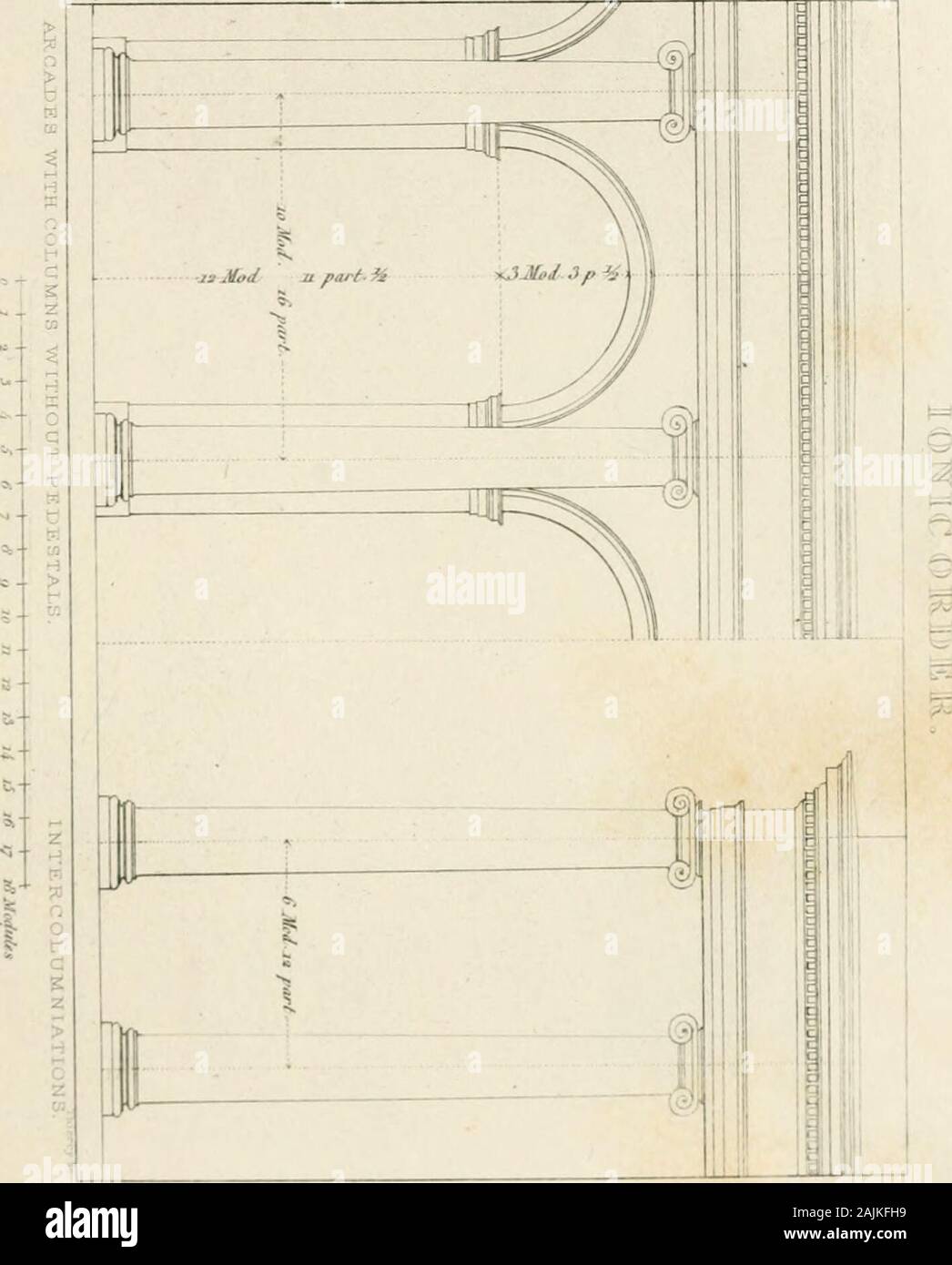 The architectural director : being a guide to builders, draughtsman ...