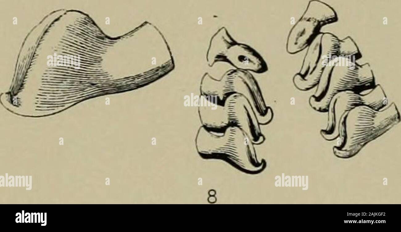 Smithsonian miscellaneous collections Stock Photo - Alamy