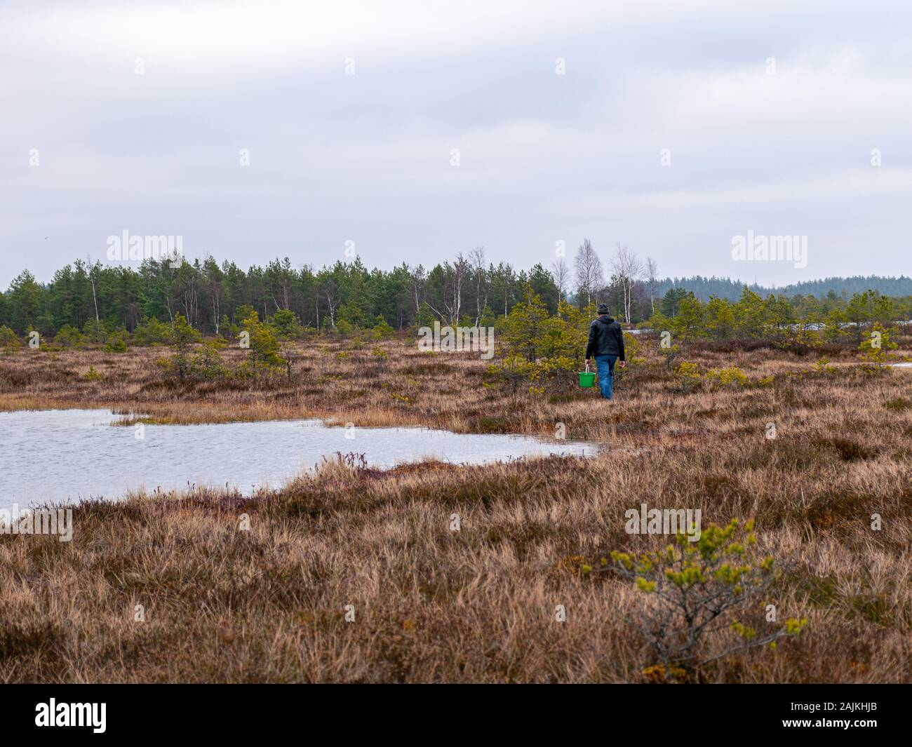 Trees with different colors hi-res stock photography and images - Alamy
