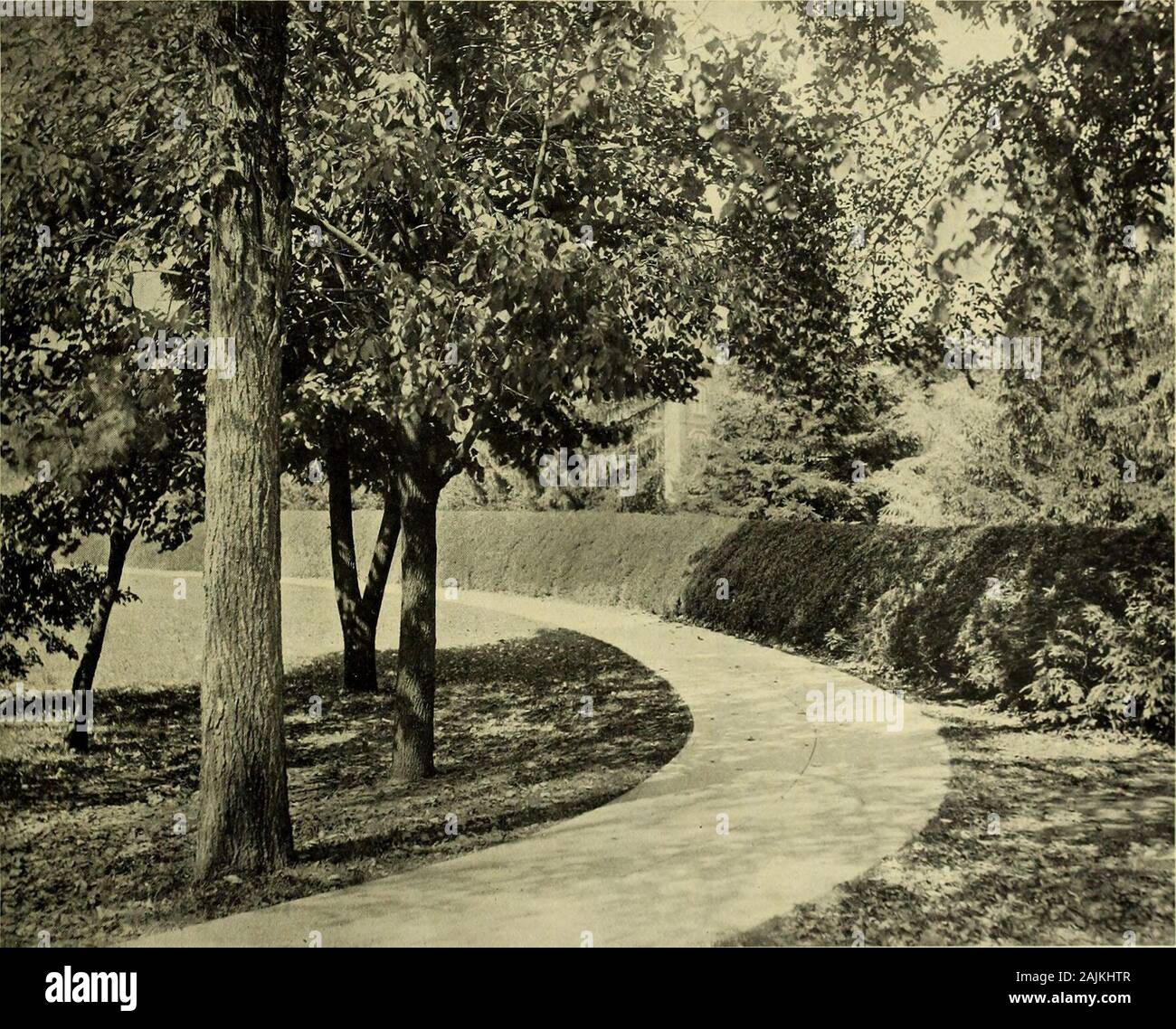 Tiik hi-res stock photography and images - Alamy