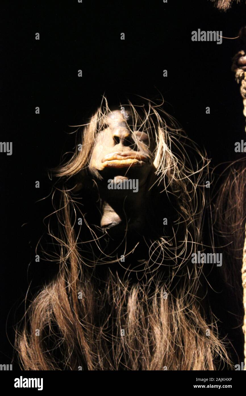 Human shrunken head hi-res stock photography and images - Alamy