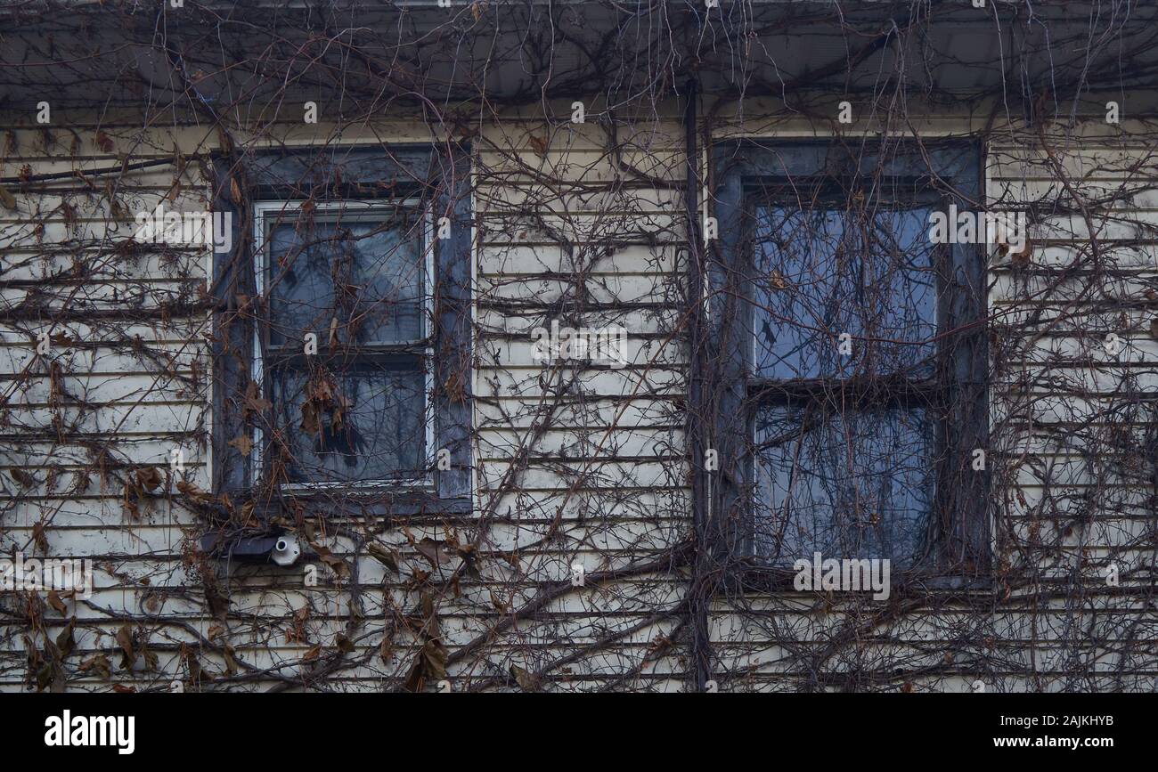 Haunted House left empty and overgrown with creepy vines Stock Photo ...