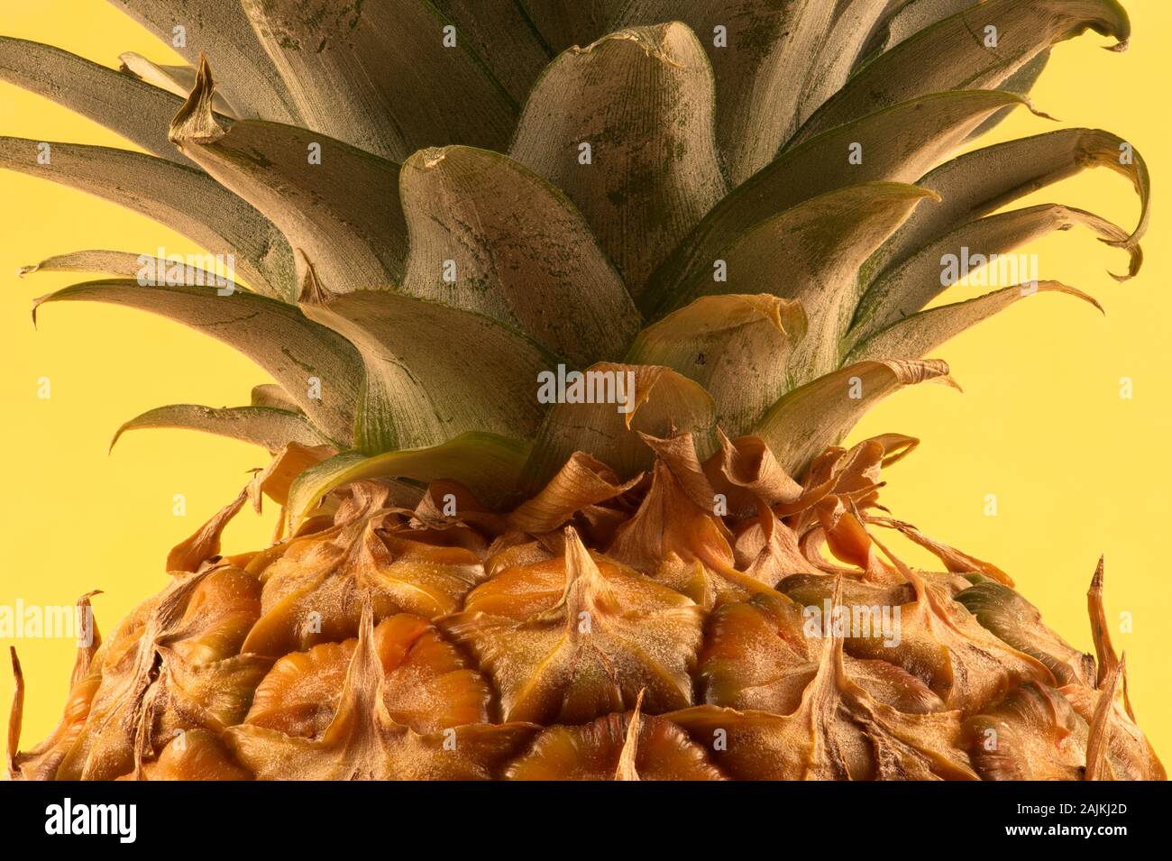 Pineapple fruit in macro close-up. Tropical pineapple in detail with ...