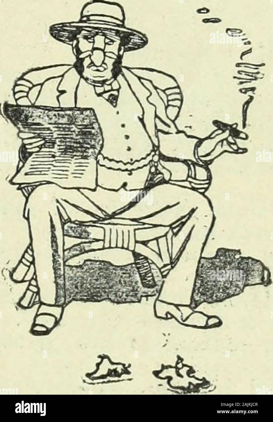 Zorro liebre hi-res stock photography and images - Alamy