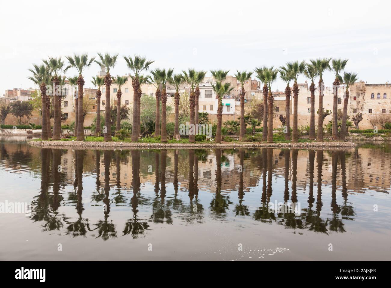 Island with palm trees reflecting in the water in Jnan Sbil – famous ...