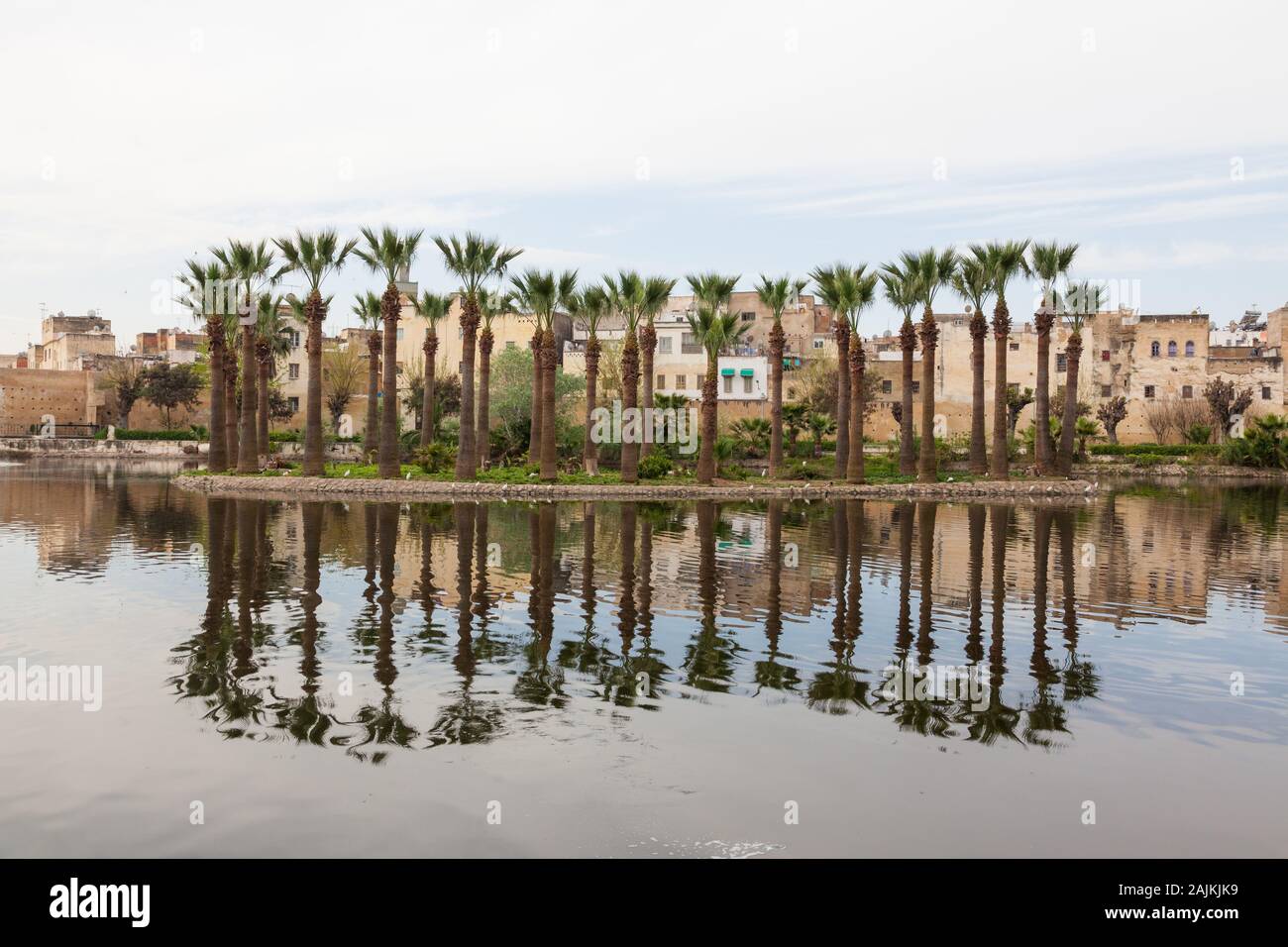 Island with palms reflecting in the water. Part of Jnan Sbil – famous ...