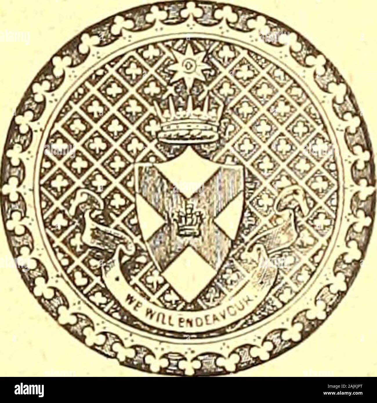 On the morphology of the duck and the auk tribes . p.c.s. Pre-costal ...