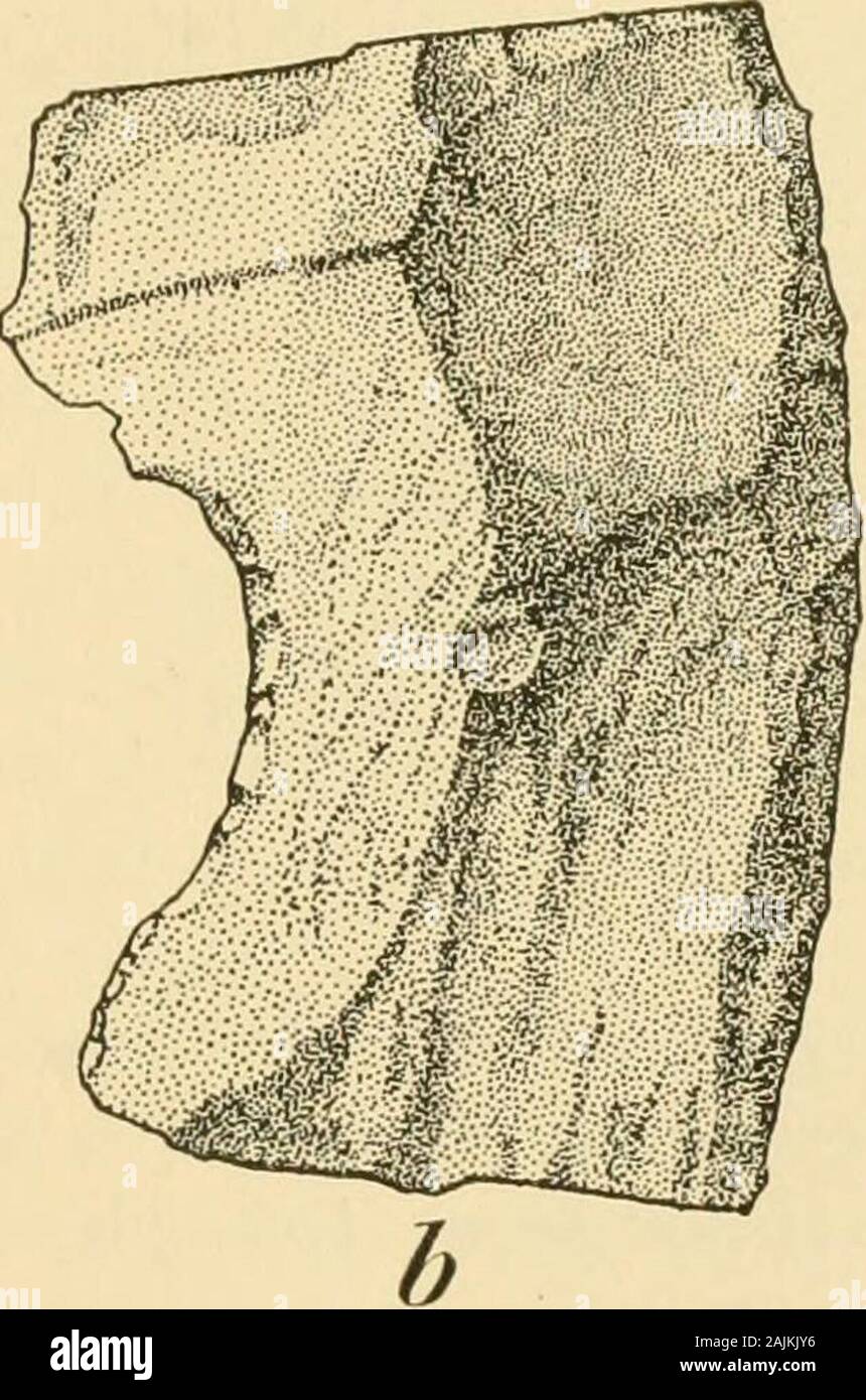 Smithsonian miscellaneous collections . Fig. 3.—Side scrapers with concave cutting edges ...