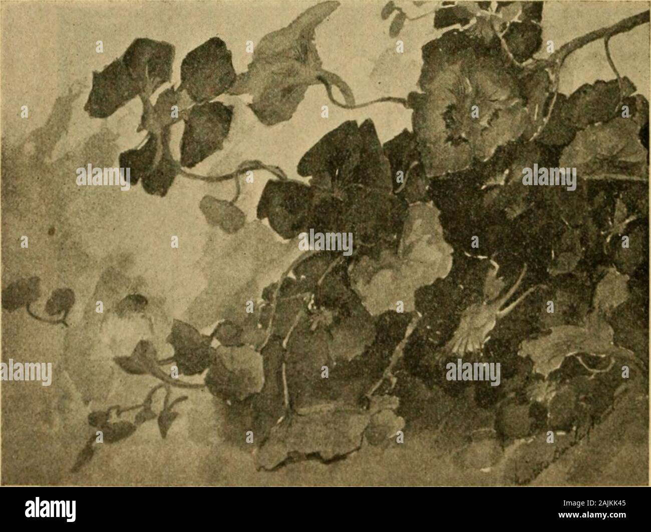 Bookidcataloge00kera hi-res stock photography and images - Alamy