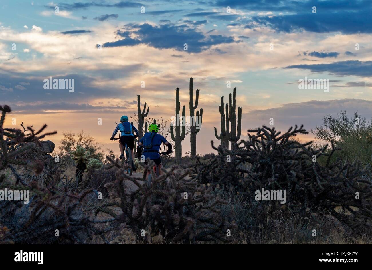 Desert trail hi-res stock photography and images - Alamy