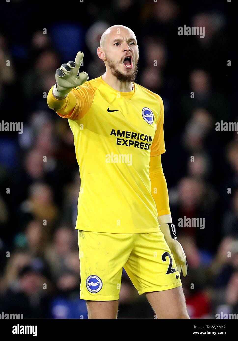 David button brighton goalkeeper hi-res stock photography and images ...