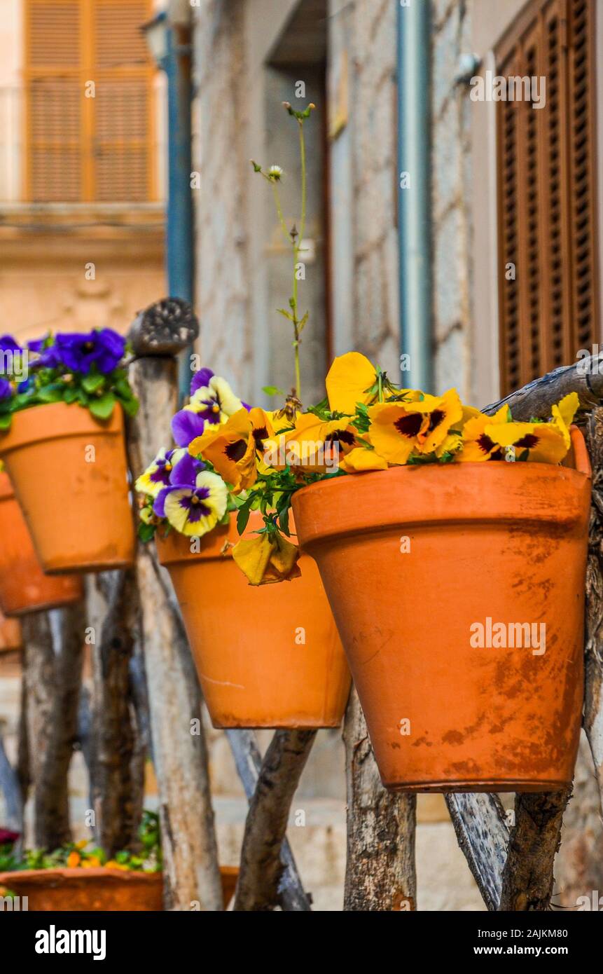 Spanish house flowers pots hi-res stock photography and images - Alamy