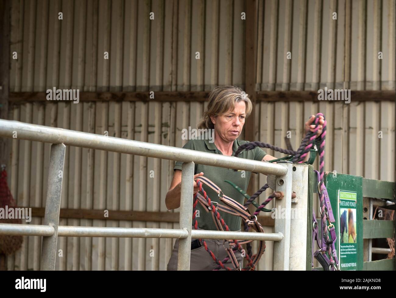 Middle aged woman farm hand Stock Photo - Alamy
