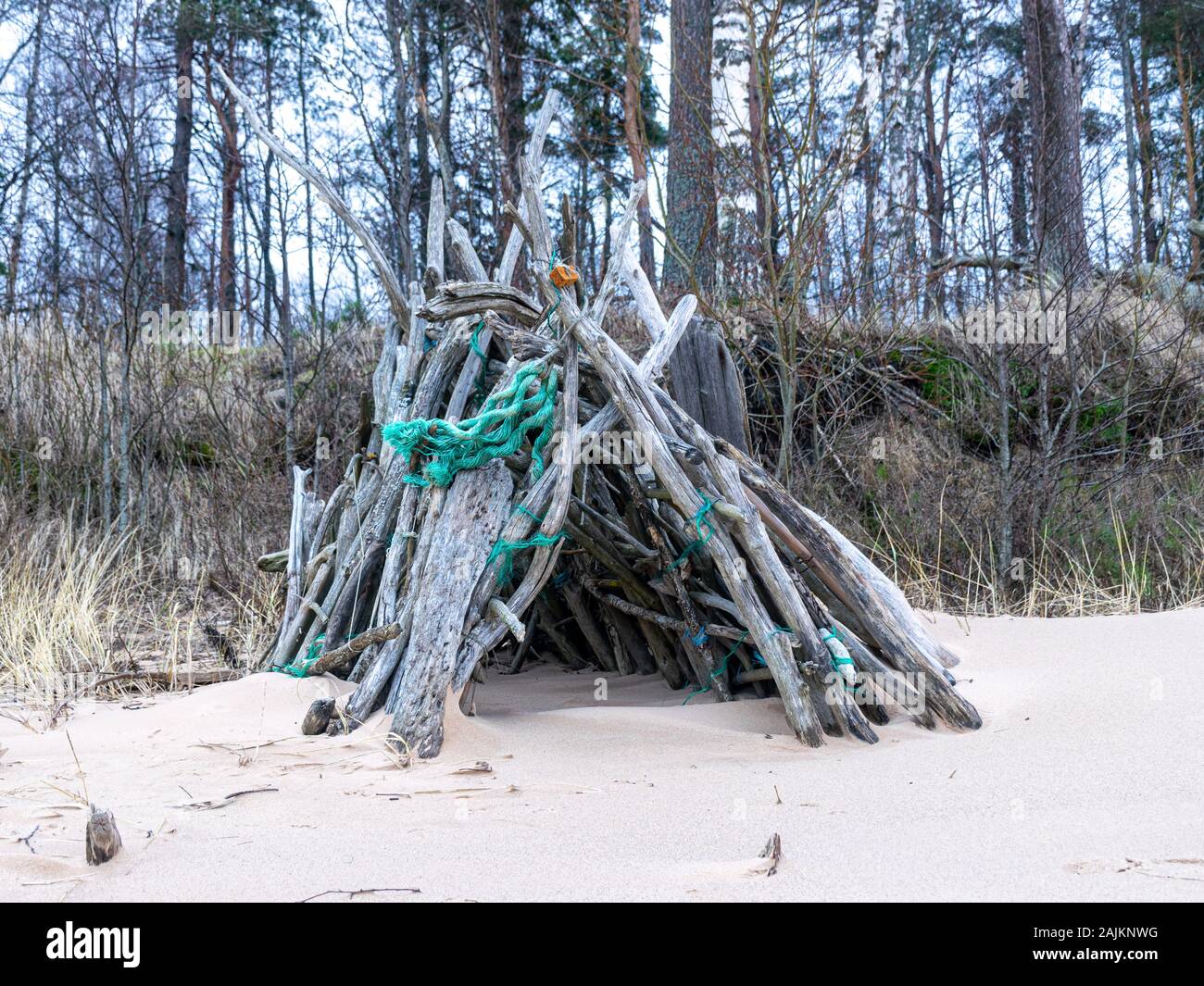 picture with wooden branch hut by the sea, hut made of trees washed ...