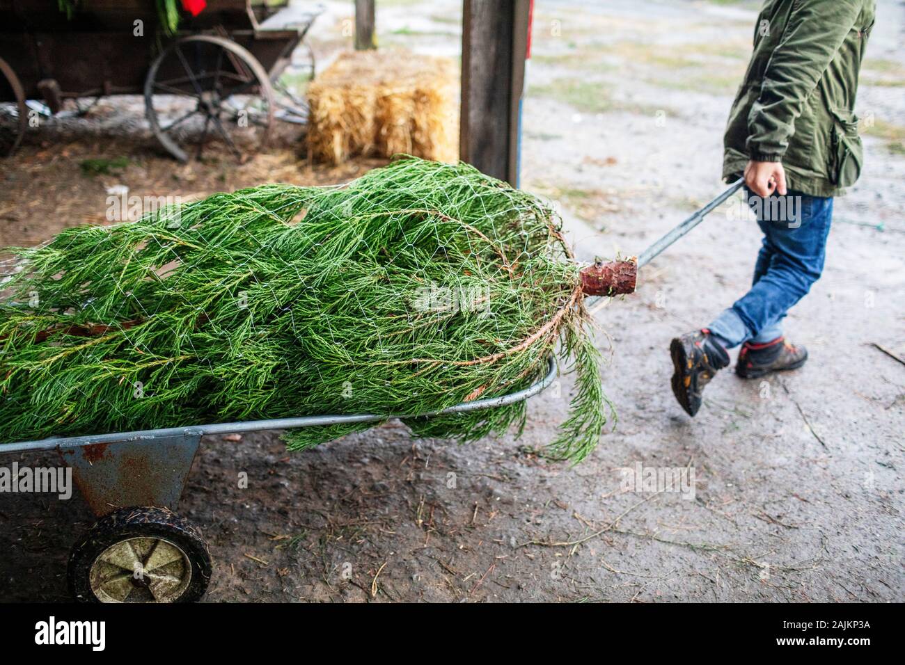 Carrying High Resolution Stock Photography and Images - Alamy