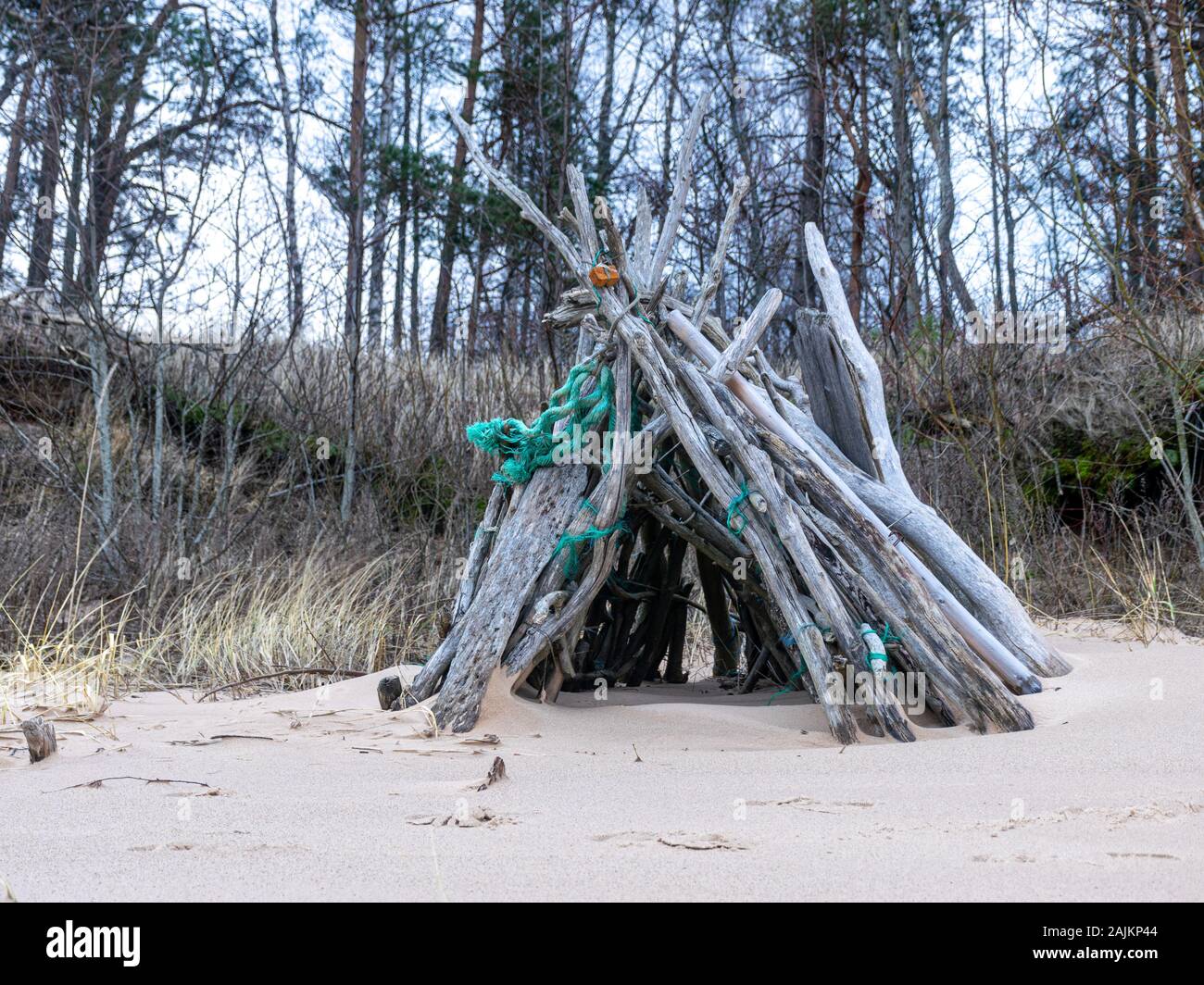 picture with wooden branch hut by the sea, hut made of trees washed ...