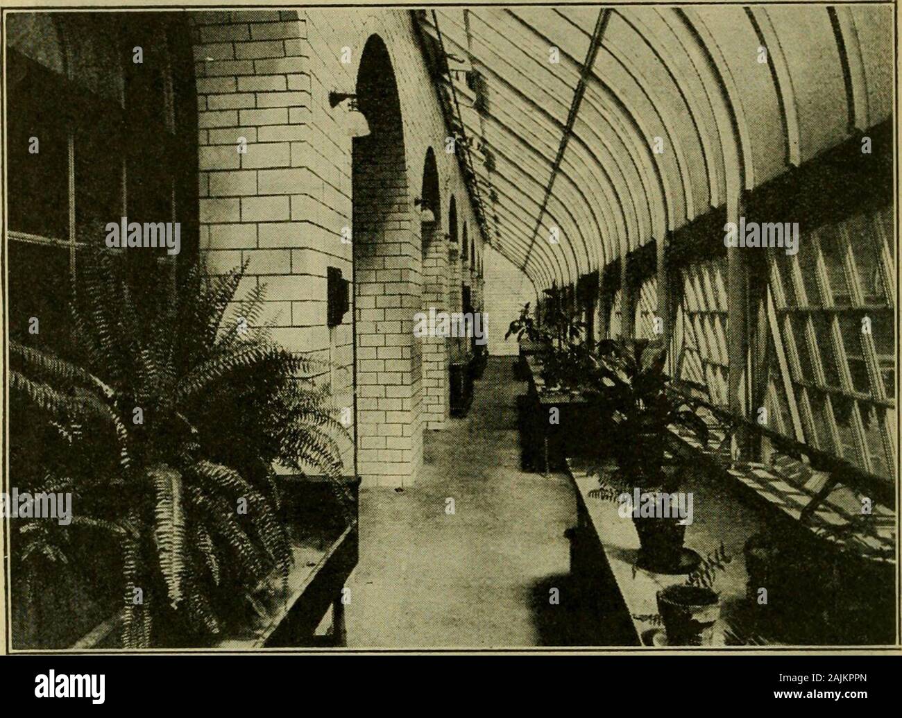 Propagation room hi-res stock photography and images - Alamy