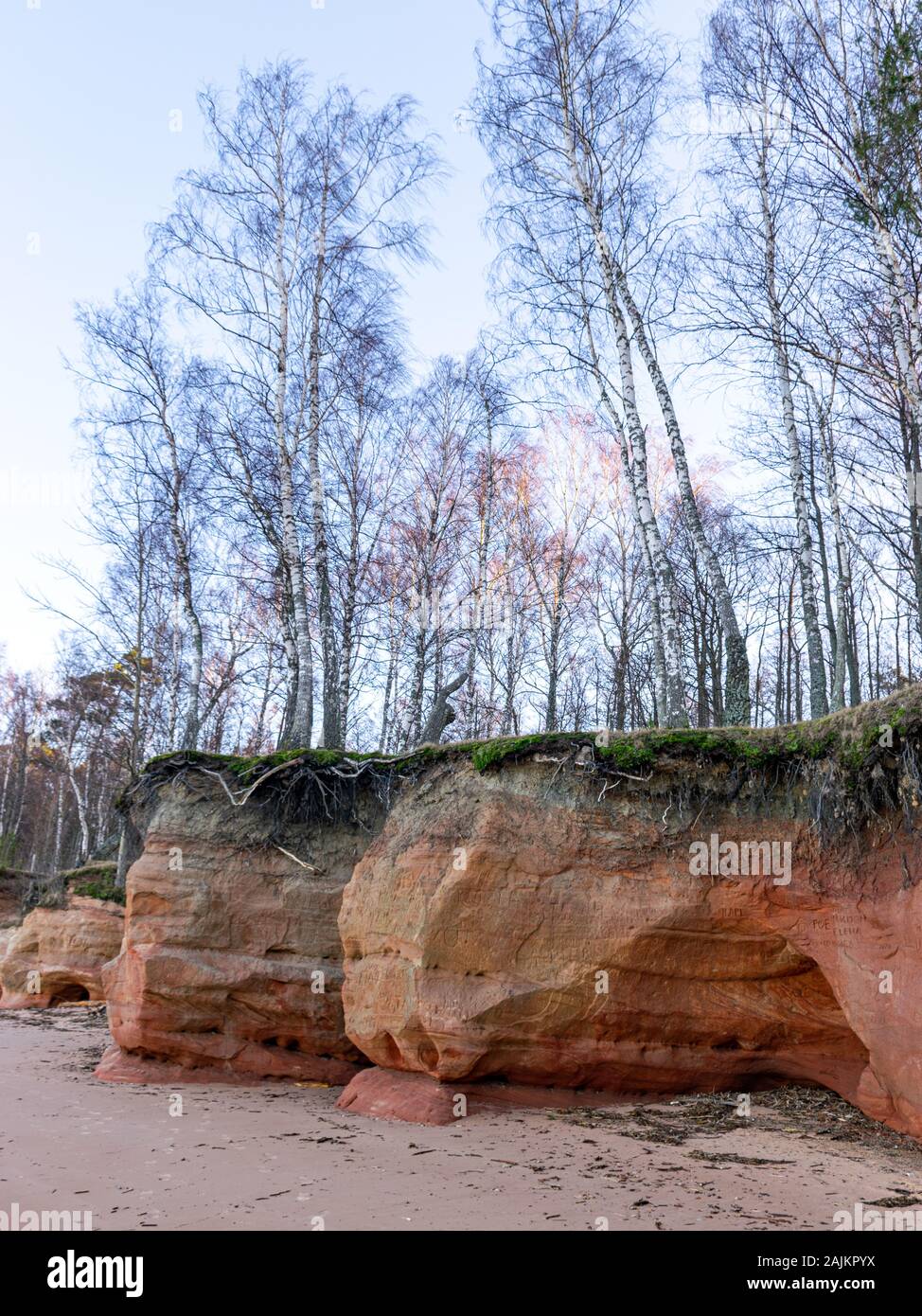 landscape with sandstone cliff at sunrise, rocky seashore, windy ...