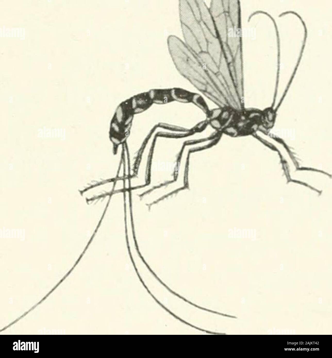 Outsideclose hi-res stock photography and images - Alamy