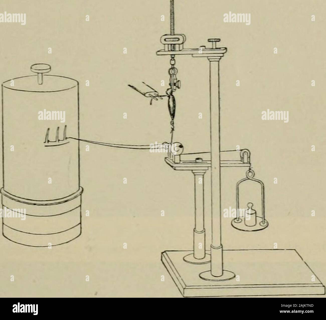 Secondary succession hi-res stock photography and images - Alamy