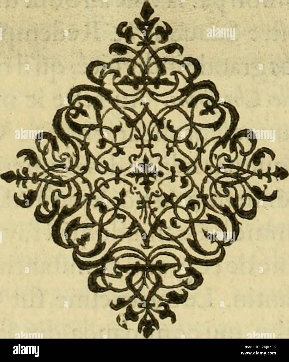 Dieline hi-res stock photography and images - Alamy